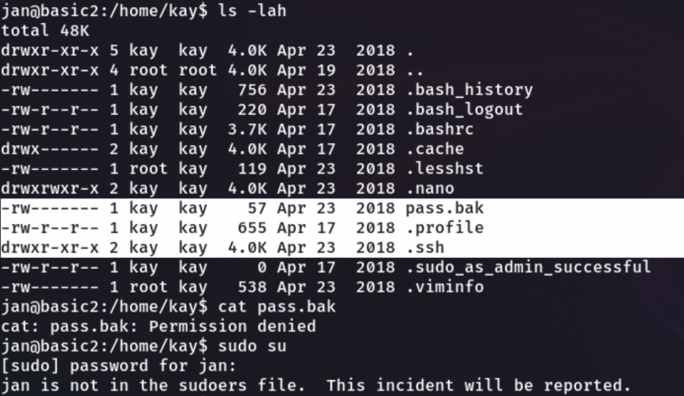 Basic Pentesting – 2 Walkthrough | Vulnhub Exploitation Steps
